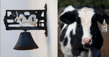 De Grendel Farm, Tygerberg, Cape Town – De Grendel Wines