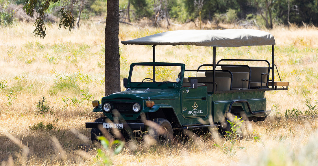 Farm Tours at De Grendel Wine Estate in Cape Town – De Grendel Wines