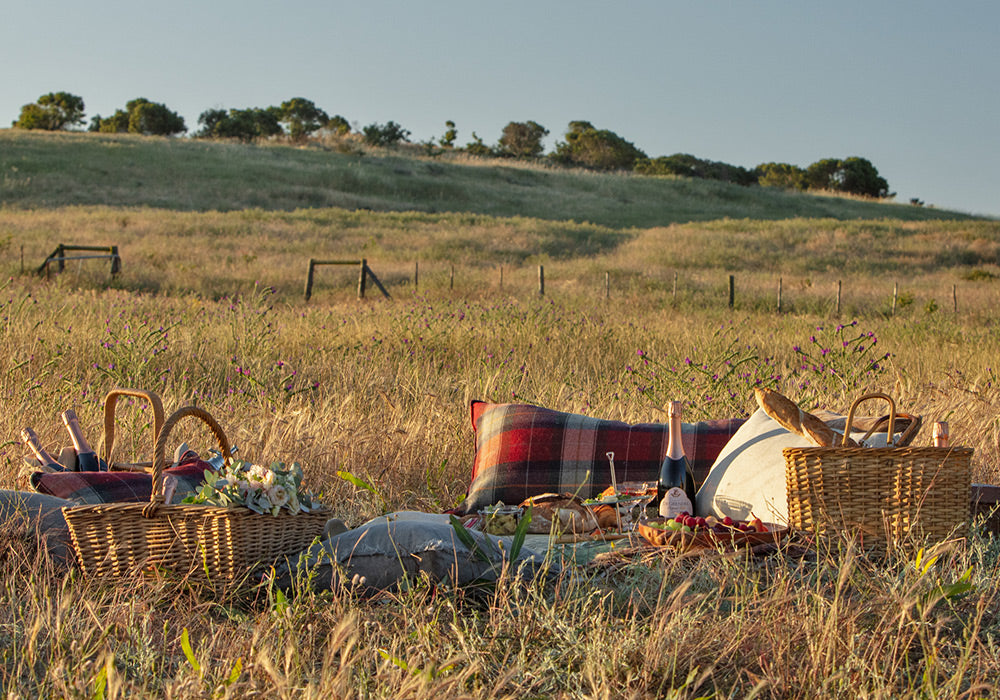 Farm Tours at De Grendel Wine Estate in Cape Town – De Grendel Wines