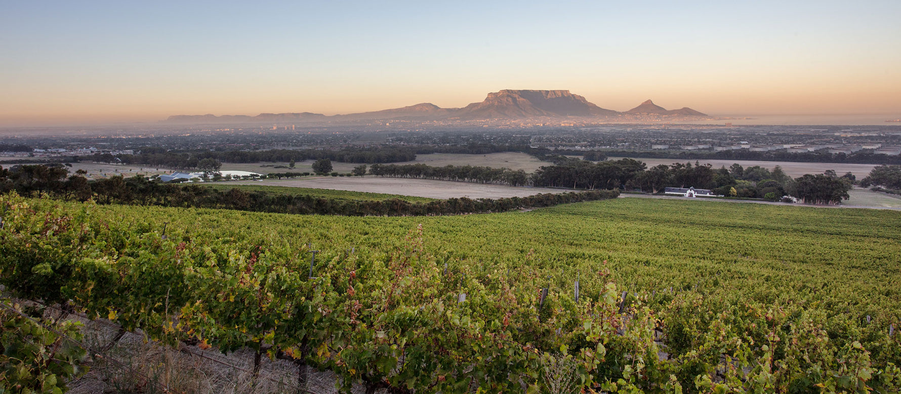 De Grendel Wine Estate and Restaurant in Cape Town Winelands – De ...