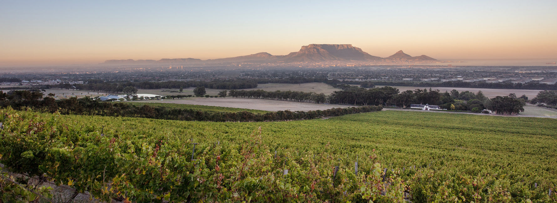 De Grendel Wine Estate and Restaurant in Cape Town Winelands – De ...